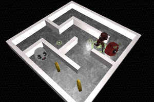3D Maze and Ninja - Unblocked Gamers