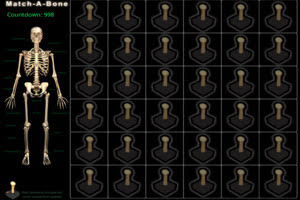 Match A Bone - Unblocked Gamers